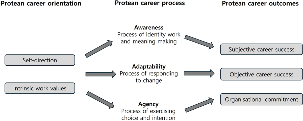 Navigating protean career paths in medical education: insights from ...
