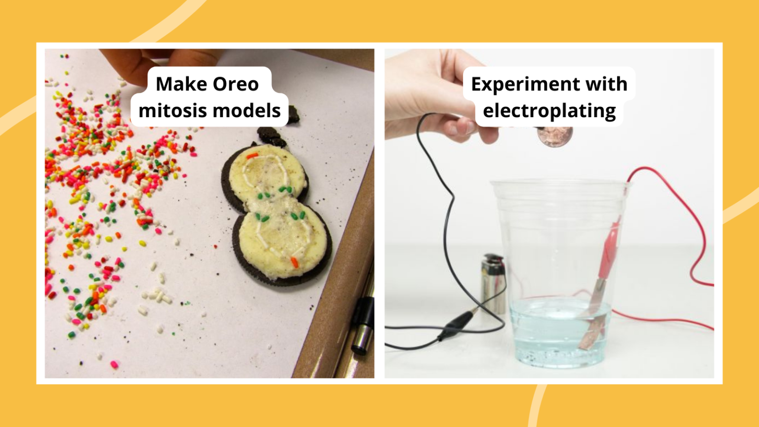 75+ Best Science Fair Ideas for 7th Grade - Blog.nidoproject.com