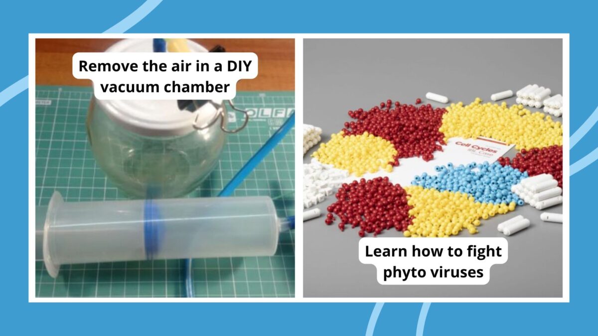80 Best High School Science Experiments in Every Subject - Blog ...
