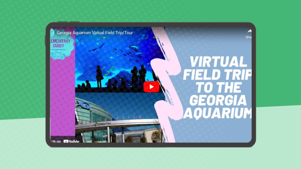 30 best virtual zoo field travel, virtual zoo tour, zoo cam - Blog ...