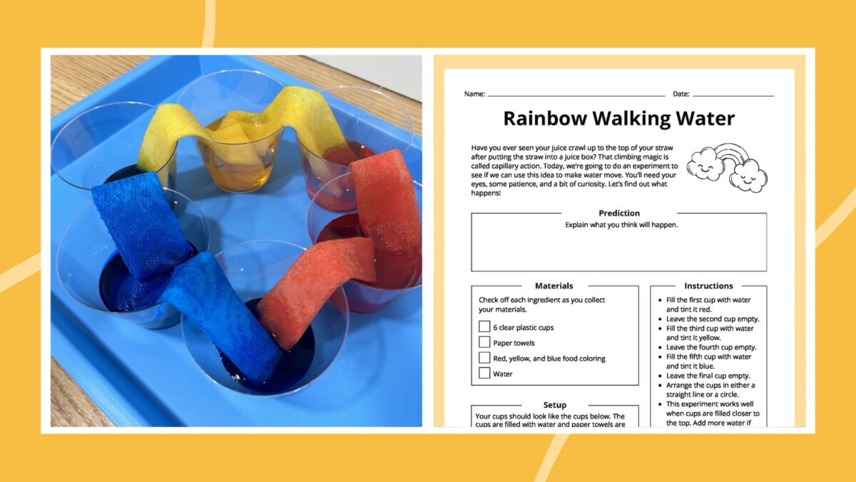 Rainbow Walking Water Experiment: How-to Plus Free Worksheet - Blog ...