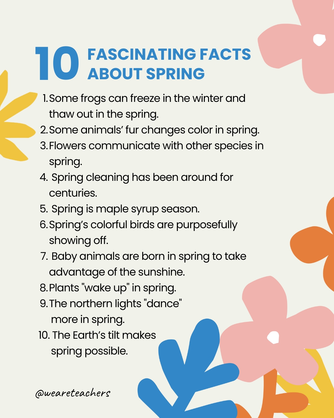 25 Fun Facts About Spring to Brighten Your Day - Blog.nidoproject.com