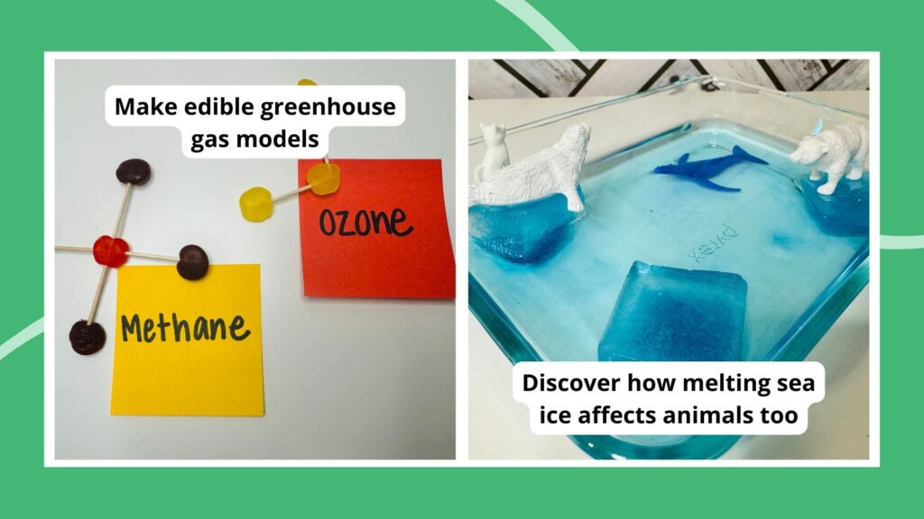 17 Meaningful Climate Change Activities for Children - Blog.nidoproject.com